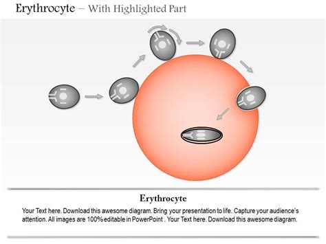 0614 Erythrocyte Medical Images For Powerpoint PowerPoint Presentation Templates PPT