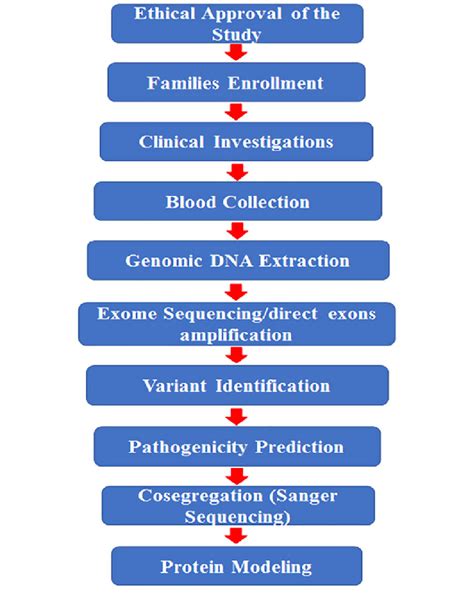 Flowchart Showing Steps Carried Out In Methodology Download Scientific Diagram