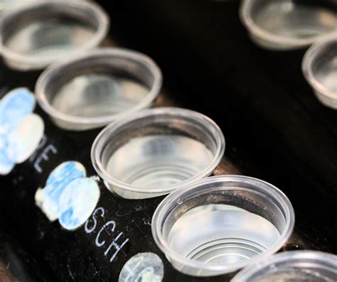 Aquatic Bioassay And Consulting Laboratories Inc On Linkedin