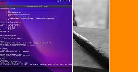 list python curated by christopher lee messer medium
