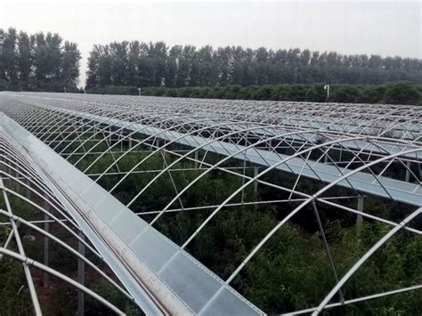 薄膜连栋温室 昱泰温室工程廊坊有限公司