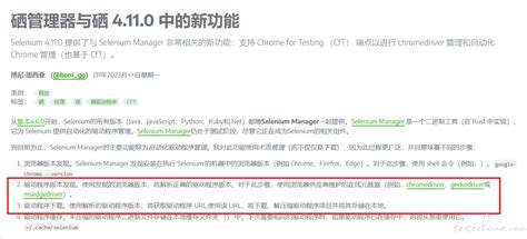 如何解决更新 Selenium 411 后自动化测试启动缓慢 · 测试之家
