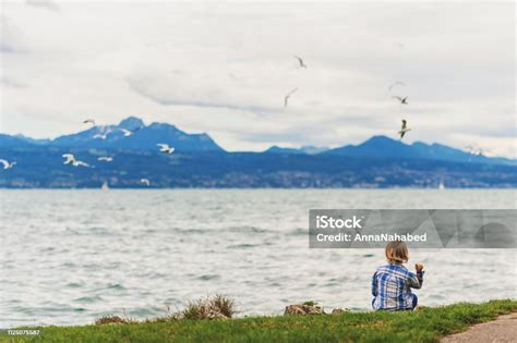 작은 아이 소년의 잔디에 앉아 흐린 날에는 호수 재생 블루 셔츠를 입고 야외 초상화 다시 보기 호수 제네바 로잔 스위스에서 찍은 이미지 가족에 대한 스톡 사진 및 기타