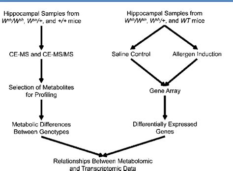 Figure 1 From Combining Small Volume Metabolomic And Transcriptomic