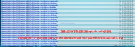 [技巧] 微软商店出现错误代码又急着安装app怎么办？试试离线安装包部署 蓝点网
