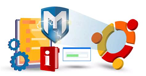 The Ultimate Guide To Installing Metasploit On Ubuntu Neuronvm Blog