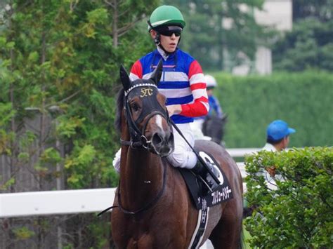 【有力馬動向】菊花賞直行の可能性も 2勝クラス圧勝プレリュードシチーの動向注目馬三郎のつぶやき 競馬ニュース Netkeiba