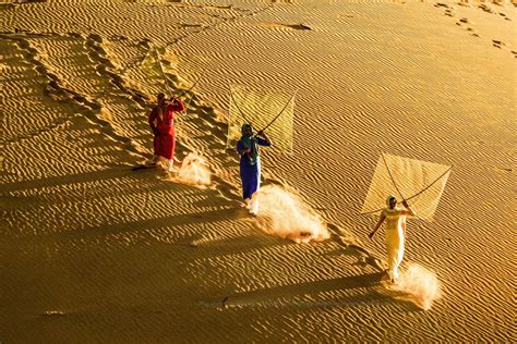 Nguyen Hong Nhung Insearchpk