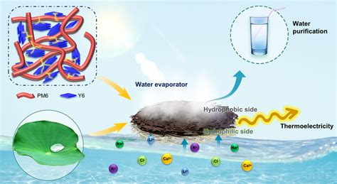 Scheme Of The Organic Solar‐driven Water Evaporator Based On Hybrid