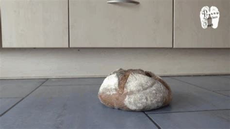 Bread Under Heeled Wooden Sandals Pretty Merciless Feet Clips4sale