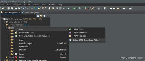 创建abap数据库表和abap字典对象 创建表01abap 數據庫表創建 Csdn博客