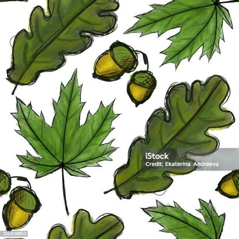 스케치 단풍 나무와 오크 나무 잎과 도토리의 원활한 패턴 검은 낙서 윤곽선과 녹색 색의 단풍 흰색에 고립 된 노란색 너트 얼룩이