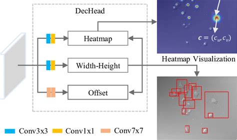The Details Of Center Keypoint Based Object Detection Head The