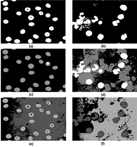 Segmentation Result Samples Ab Segmentation Obtained By Applying