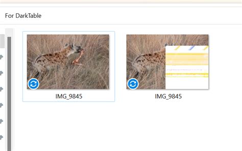 Corrupted Raw Files Cause Dt To Crash · Issue 12547 · Darktable Org