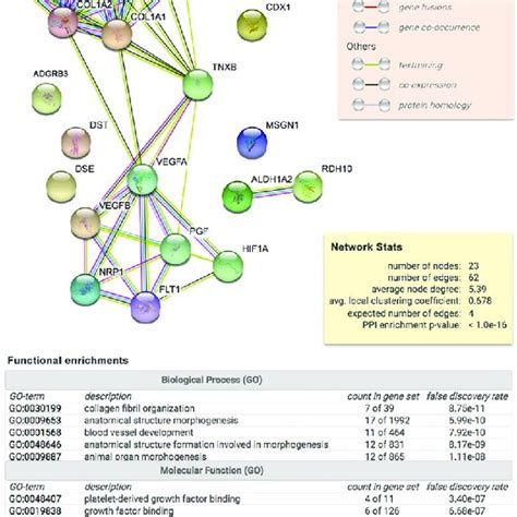 Single Nucleotide Variations Identified In The Family With Five CM 1 Download Scientific