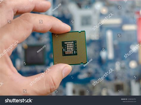 Hand Holding Cpu Processor On Computer Stock Photo Shutterstock