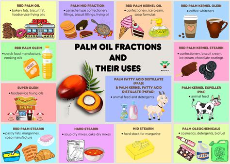 Palm Oil Fractions And Their Uses Mpoc