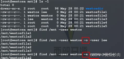 linux系统find命令用法 find size csdn博客