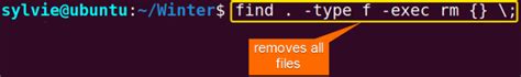 Remove All Files From Current Directory In Linux Methods