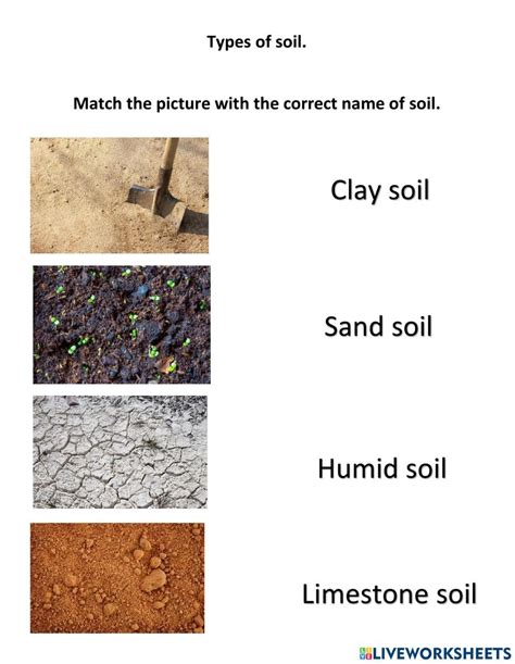 Types Of Soil Worksheet For Elemental In Types Of Soil Soil Science Worksheets