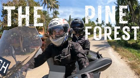 We Are Surrounded By Tall Pine Trees 🇹🇭 Chasing North S1 Ep05 Youtube