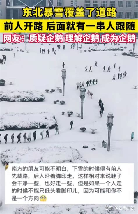 你在北方大雪纷飞，我在南方身着短袖 知乎