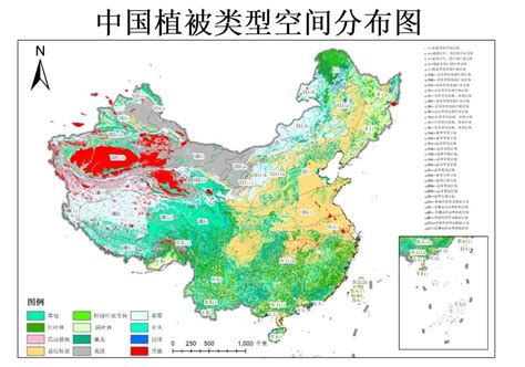 中国植被类型图与植被区划图的制作（专题图制作与数据分享） 哔哩哔哩