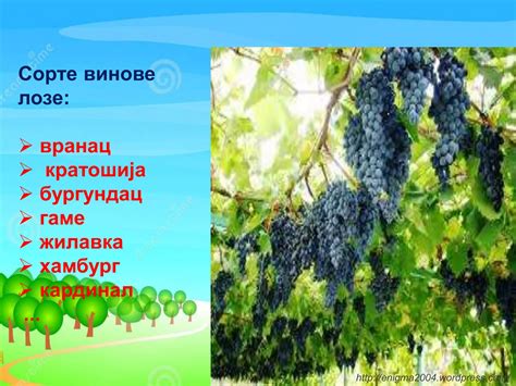 Gajene Biljke I Domaće životinje Pptx