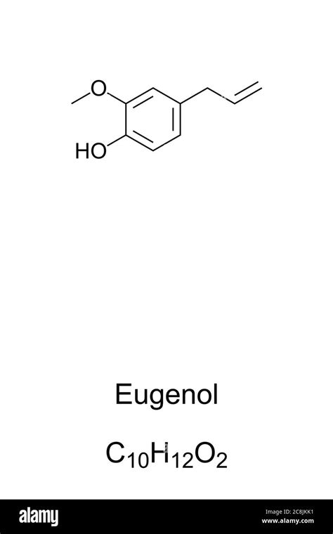 Eugenol Chemical Structure And Formula Clove Odor Extracted Mainly From Clove Bud Oil And