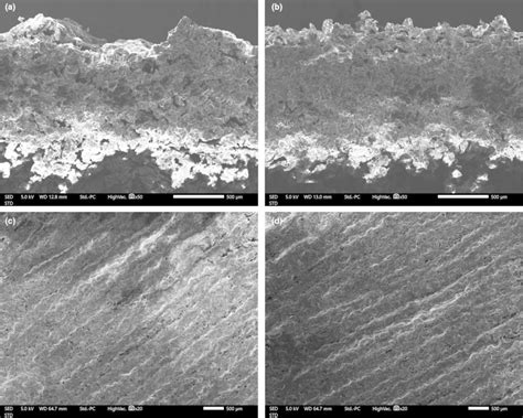Sem Micrographs Of Cross‐sectional Structures Of Bmp 1 5‐21g A And