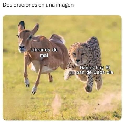 Y No Nos Dejes Caer En La Temteishon Te Lo Pedimos Beibi Yisus 9gag
