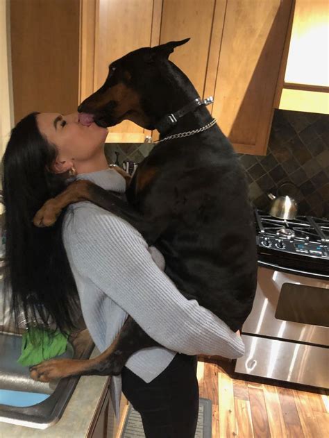 Пин от пользователя Holly на доске Doberman в 2025 г Доберман Собачки Собаки