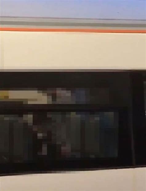 Brazen Couple Filmed Having Sex On Train In Broad Daylight In Front Of Stunned Bystanders While