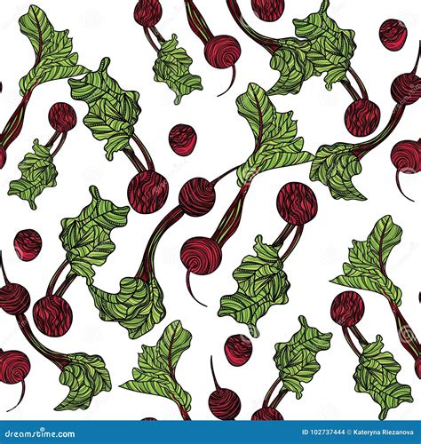Seamless Pattern With Beets Stock Vector Illustration Of Texture Vegetable 102737444