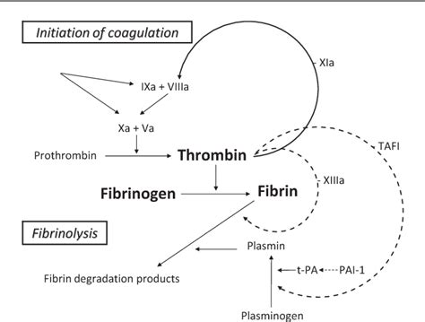Figure 1 From Role Of Fibrin Sealants In Liver Surgery Semantic Scholar