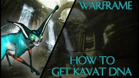 Kavat Genetic Code Farming Guide