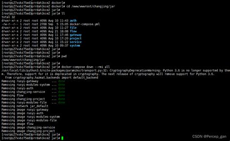 Docker Var Lib Docker Overlay