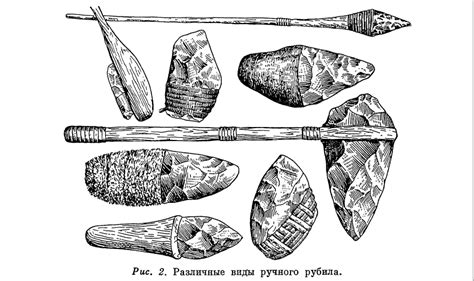 Примитивные технологии каменного века. Каменный топор: cultprosvet_mag ...