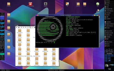 FVWM My Almost Immutable Setup R Unixporn