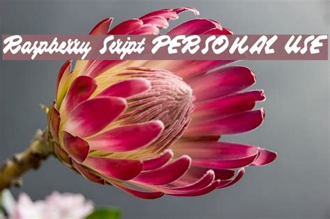 Raspberry Script Personal Use Font