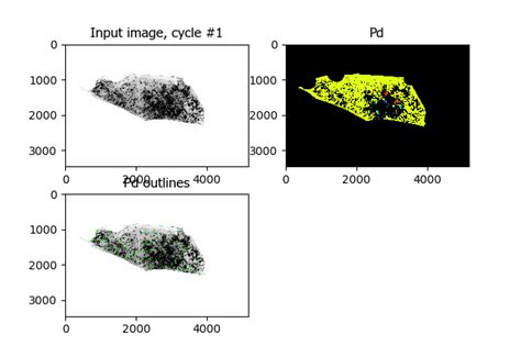 Problems With Identifying Primary Objects Image Analysis Imagesc Forum