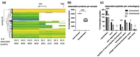 Optimized Decellularization Protocol For Large Peripheral Nerve Segments Towards Personalized