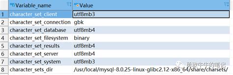 Mysql 解析客户端sql执行字符集参数设置sql字符集 Csdn博客
