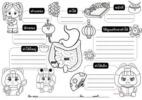 ห้องเรียนพละของครูอ๋อมแอ๋ม ห้องเรียนพละของครูอ๋อมแอ๋ม