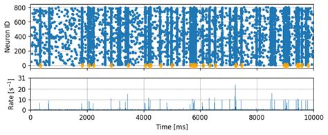 Nestml Dopamine Modulated Stdp Synapse Tutorial — Nestml Documentation