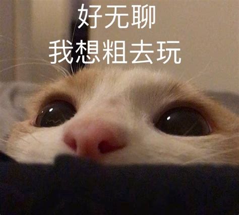好想出去玩的说说 好想出去玩的配图 第7页 大山谷图库