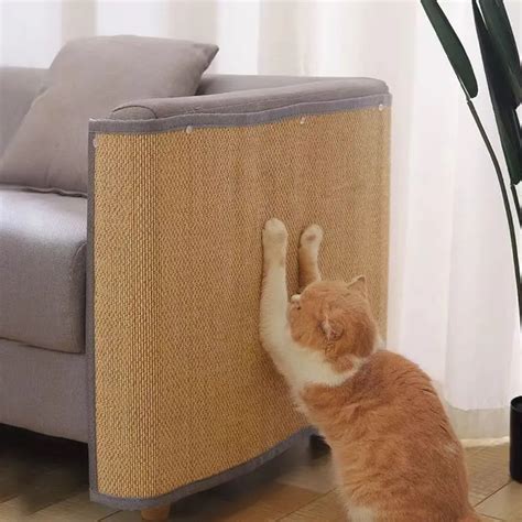 Scratch Pad Puppiza
