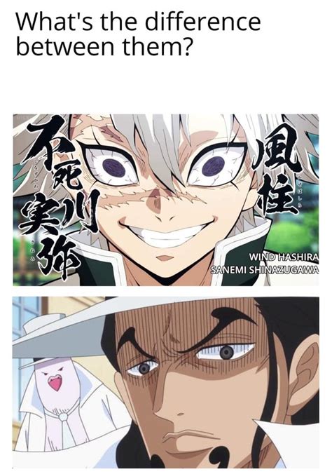 They Both Have Same Voice Actor Rmemepiece