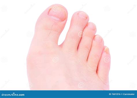 Toe Stock Photo Image Of Nail Body Foot Isolated Health